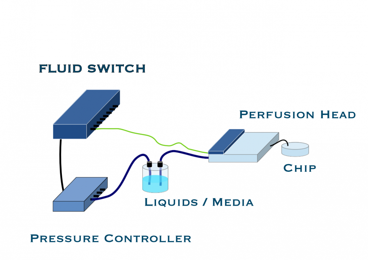 Microfluidic Fluid Switch – FS – Biophysical Tools – Expert in ...
